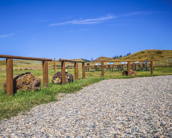 Finley Point State Park - Montana State Parks Foundation